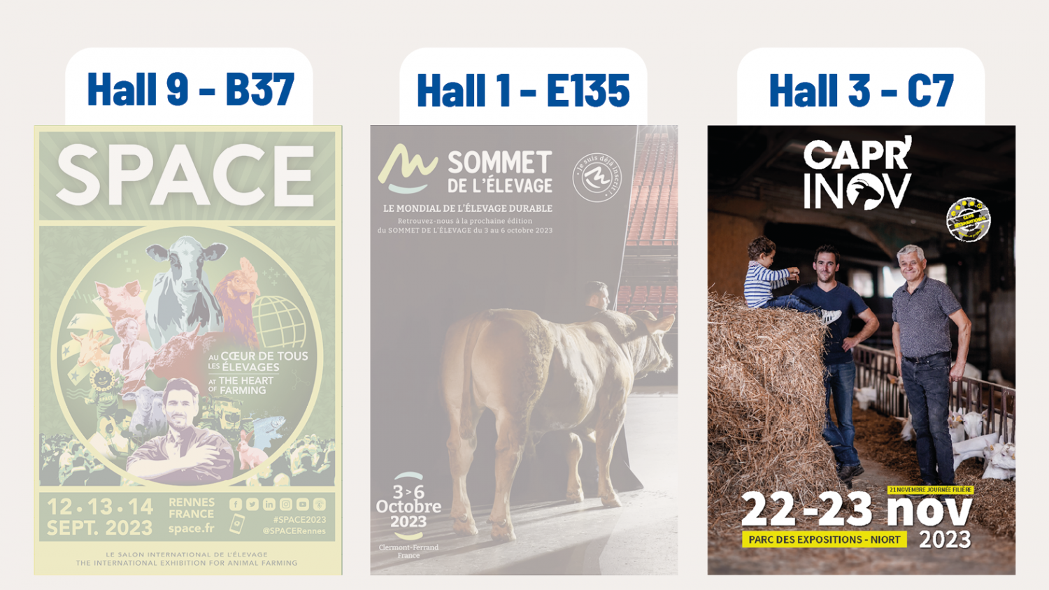 Bonilait | Expert en nutrition animale : ingrédients laitiers et ...